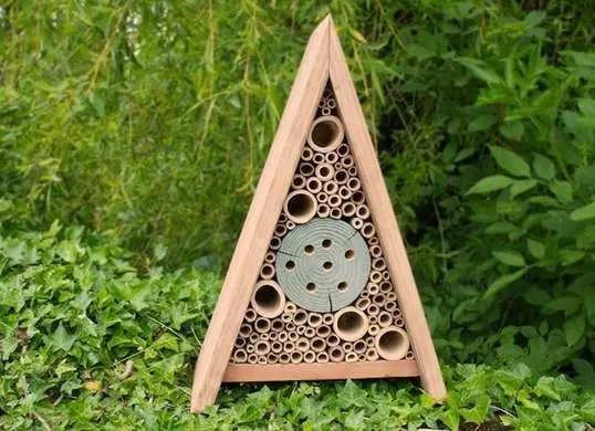 Garden Bug Motelis