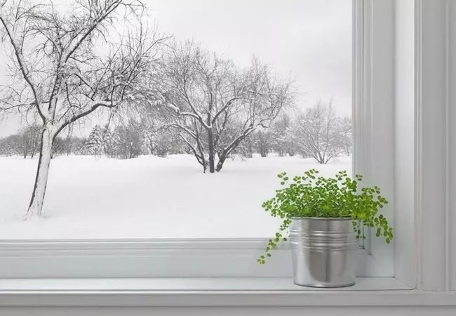 Žiemos patalpų oro kokybės sprendimai