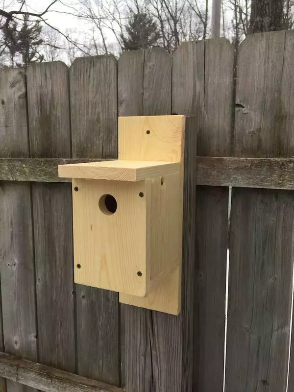 Պարզ հեծյալ թռչունների տուն