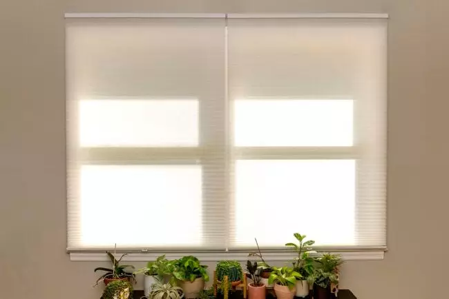 Blinds com Shades Review