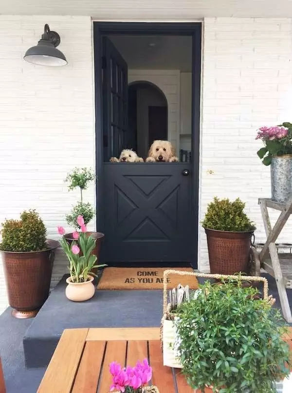 Schwarze holländische Tür