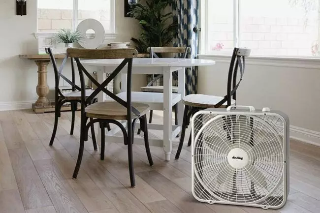 Die Beste Box Fan Opsie