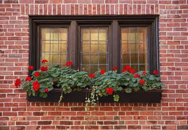 Renkli Ev Pencereleri Hakkında Bilmeniz Gereken Her Şey