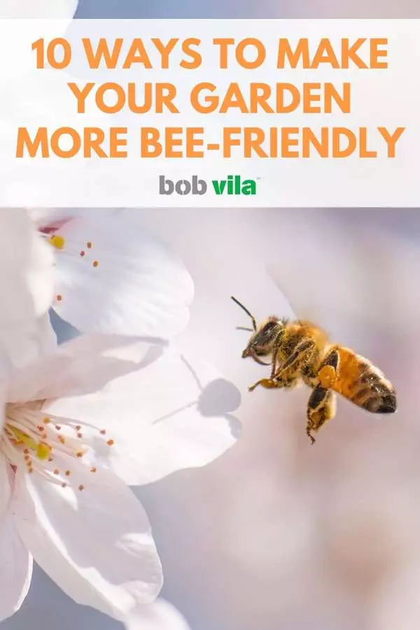 как да направите градината си безопасна за медоносните пчели