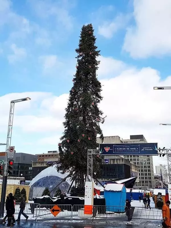Božično drevo je pretanko
