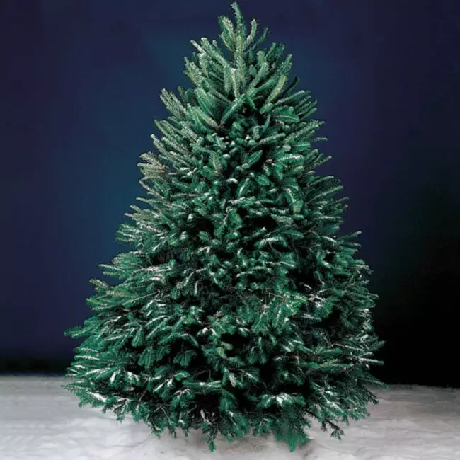 Ang Labing Maayo nga Pagpili sa Serbisyo sa Paghatud sa Christmas Tree: Hammacher Schlemmer