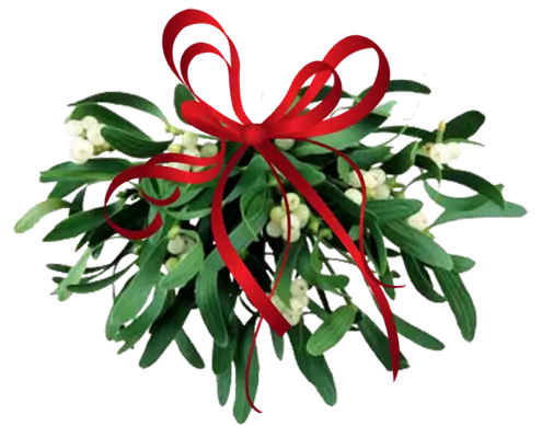 ບ່ອນທີ່ຊອກຫາ Mistletoe - Mistletoe Kissing Ball