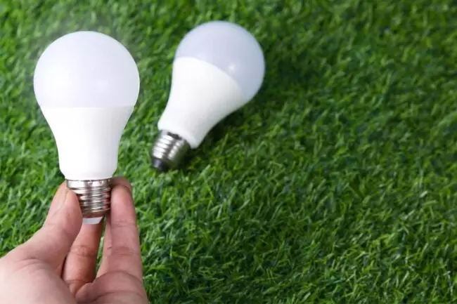 Iyo Yakanakisa Smart Chiedza Bulb Sarudzo