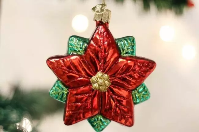 La meilleure option d'ornements de Noël : l'étoile poinsettia soufflée en verre de Noël de l'Ancien Monde