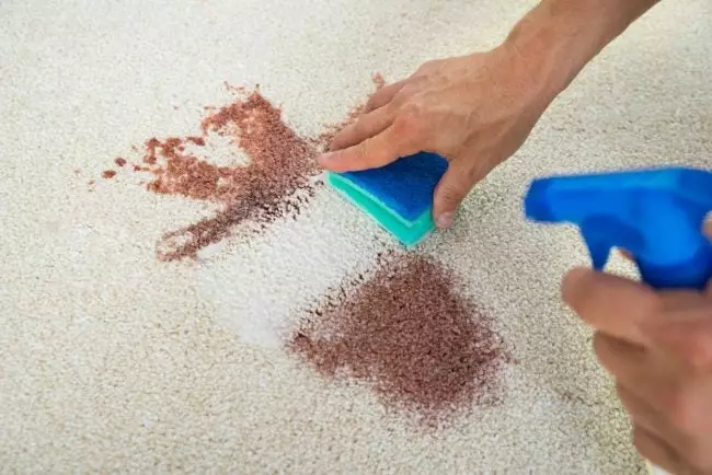 Las mejores opciones de quitamanchas para alfombras