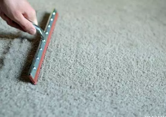 Cómo limpiar una alfombra