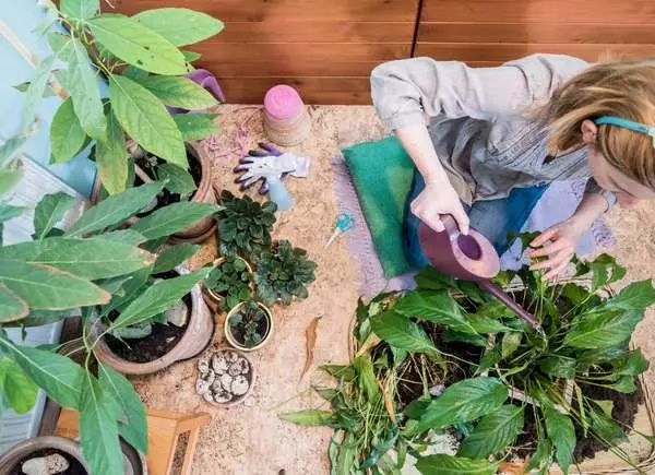 Fotografía cenital de una mujer blanca regando plantas