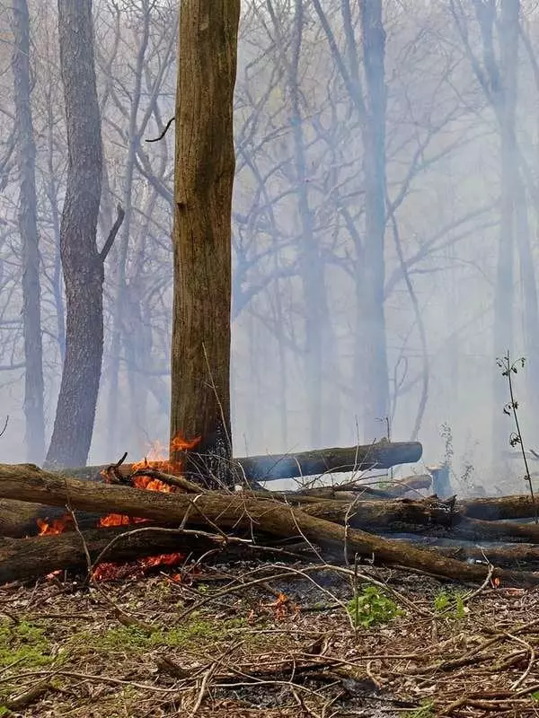 Ewu ibi ina to šee gbe monomono