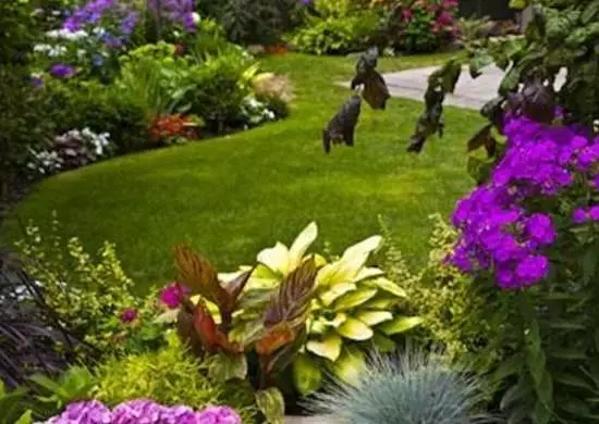 အိမ်နောက်ဖေး Landscaping