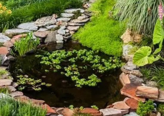 Características del agua del patio trasero