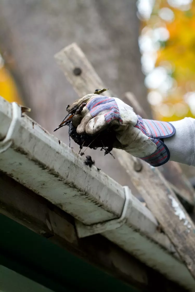 nettoyer les gouttières pour se débarrasser des grillons