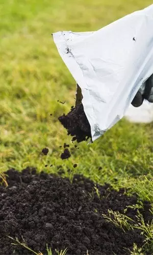 Kaip efektyviai naudoti kompostą