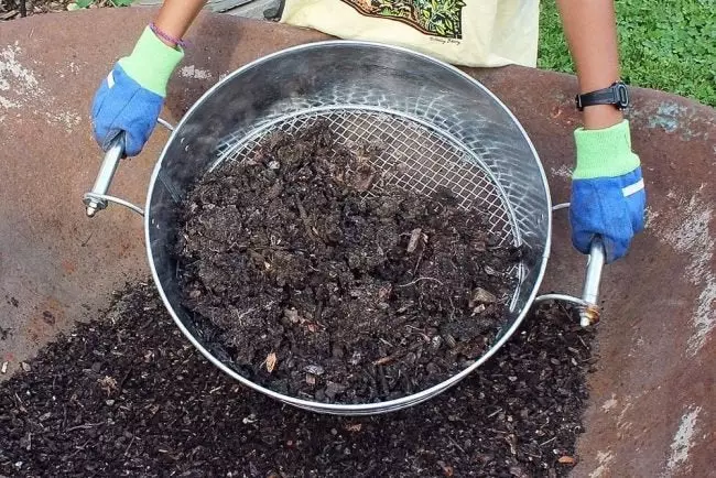 Kaip naudoti kompostą: atranka