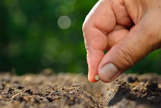 Plan uw successiebeplanting op basis van de groeitijd van uw gewassen