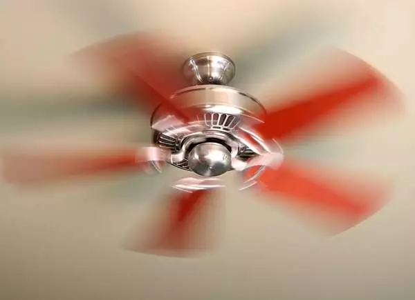 Ṣiṣe Fan Aja rẹ Loju aago