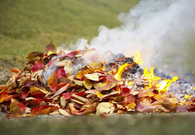 6 cosas que debe saber antes de quemar hojas este otoño