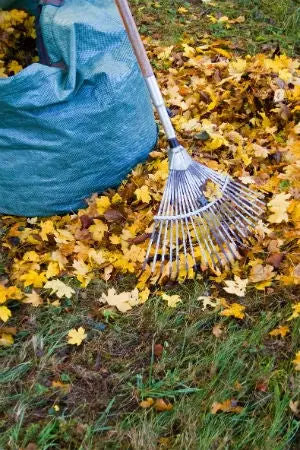 6 Πράγματα που πρέπει να γνωρίζετε πριν τα κάψετε τα φύλλα αυτό το φθινόπωρο