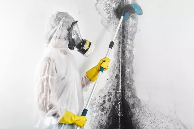 comment se débarrasser de la moisissure sur les murs