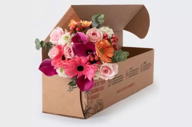 Najbolja mjesta za kupnju cvijeća Opcija Bloomsy Box