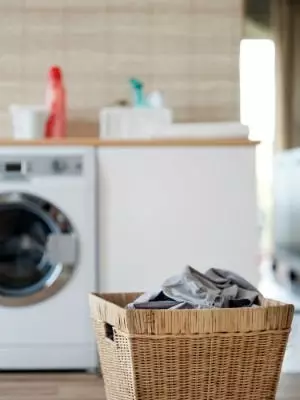 מה זה עיתונות קבועה? כיצד להשתמש בצורה הטובה ביותר בהגדרת הכביסה והייבוש