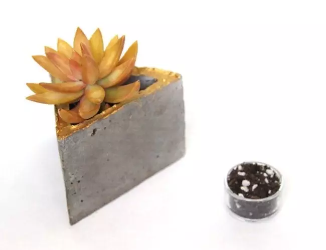 DIY Concrete Modular Planter - Plant