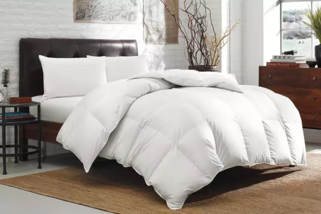 ข้อเสนอ Roundup 2/9 ตัวเลือก: Eddie Bauer Oversized White Down Bafflebox Comforter
