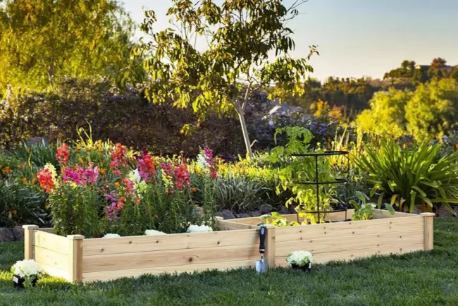 Pregled ponuda 2/9 Opcija: SUNCROWN drvena kutija za sadnju vrtnih kreveta od 8 stopa