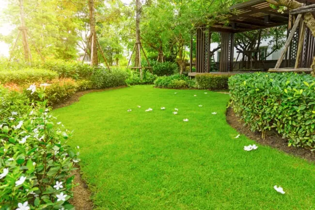 идеи за озеленяване на задния двор