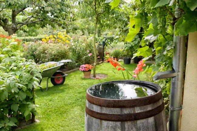 nápady na úpravu záhrady
