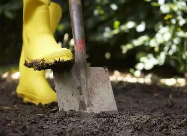 秋のガーデニング-土壌改良剤