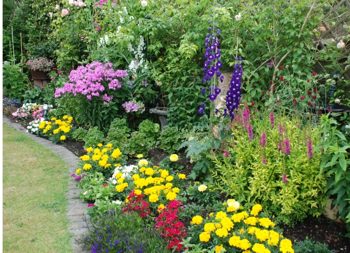 11 perenner att plantera på hösten för vackra vårblommor