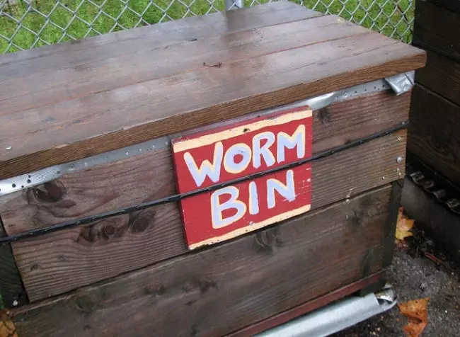 เพาะเลี้ยงสัตว์น้ำ - DIY Worm Bin