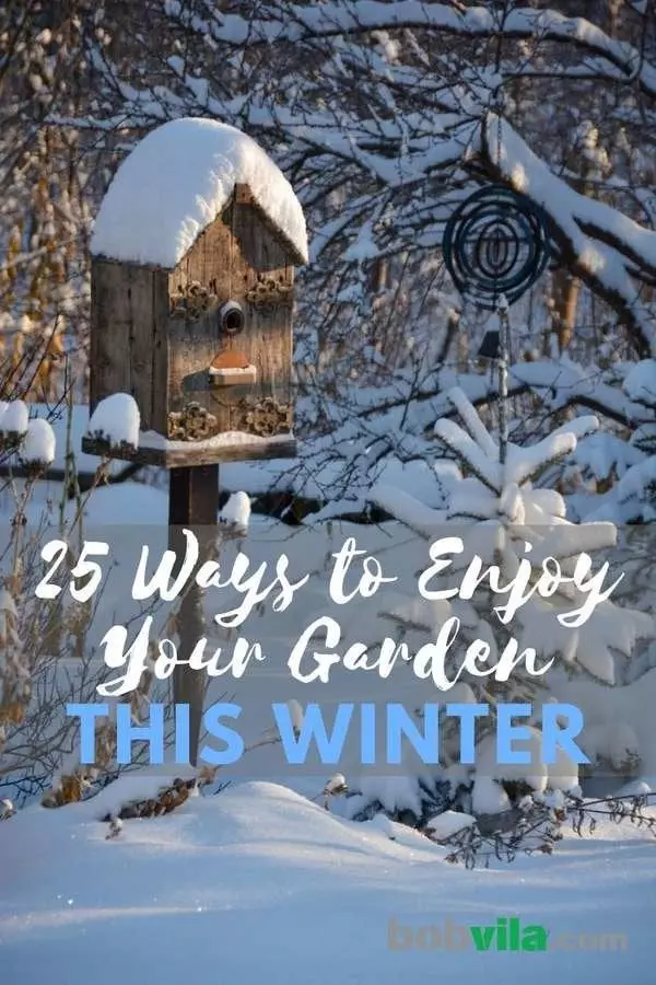 nasveti za zimsko vrtnarjenje