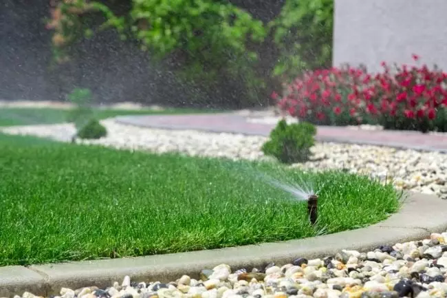 Yakanakisa Lawn Sprinkler Sarudzo, Mu-Ground uye Pamusoro-Pasi