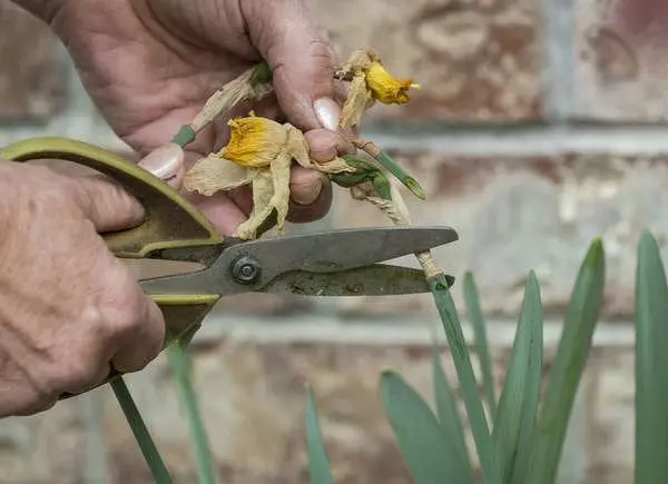 Skildu mikilvægi deadheading.