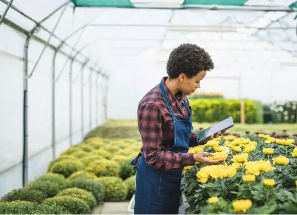 NON te quedas sen investigar primeiro as túas plantas específicas.