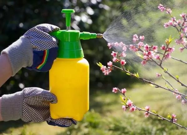 spray natural para repeler insectos