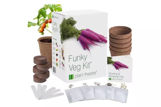 Resumen de ofertas 2/23 Opción: Plant Theatre Funky Veg Garden Starter Kit