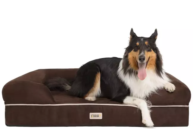 Penawaran Roundup 12:15 Opsi: Tempat Tidur Anjing Ortopedi Teman Selamanya