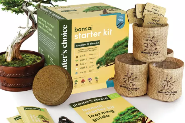 Գործարքների ամփոփում 12:6 Տարբերակ՝ Planters’ Choice Bonsai Starter Kit