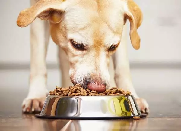 Perfluorerede fedtbestandige midler i foderposer til kæledyr