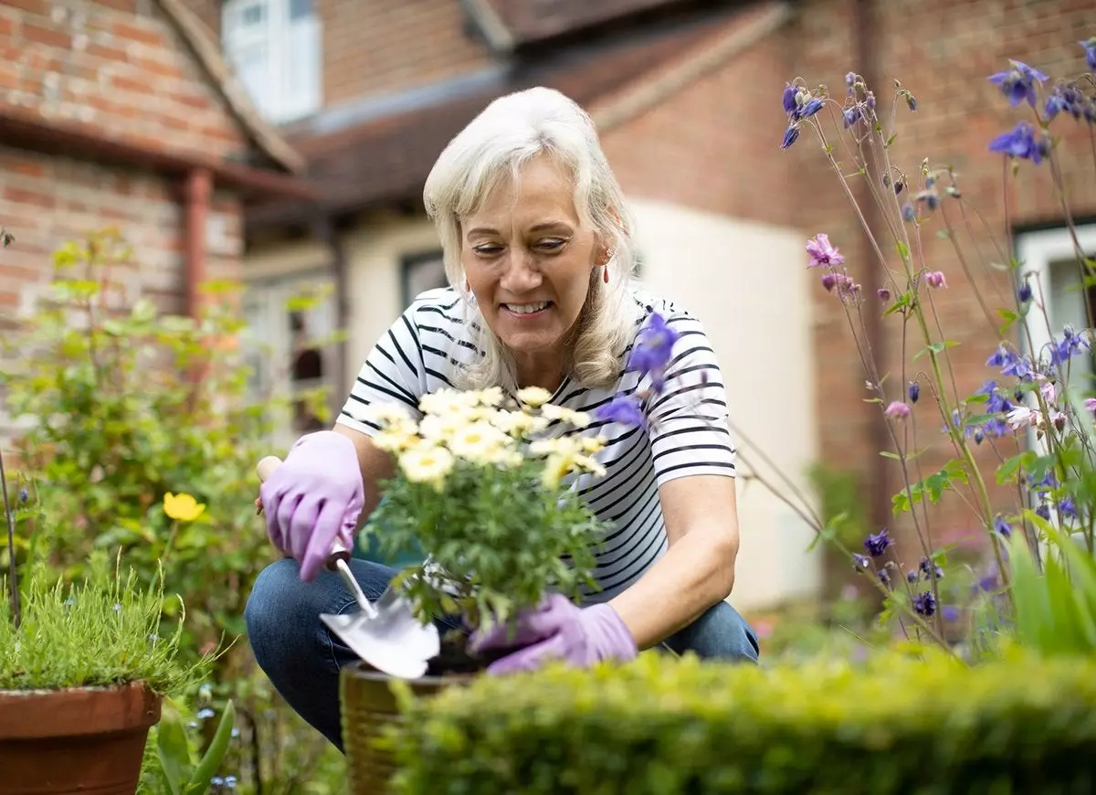 De 15 bedste blomster til nybegyndere