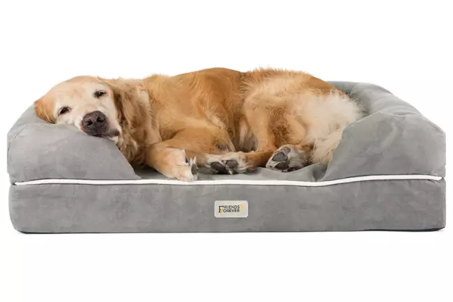 Ponuka Roundup 25/10 Option: Friends Forever Ortopedic Dog Bed