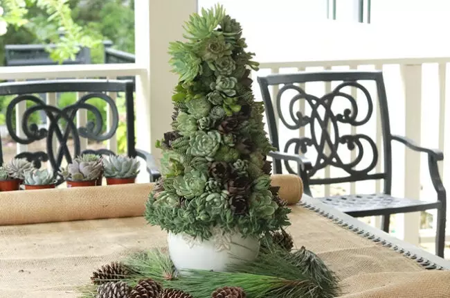 DIY sočno božično drevo