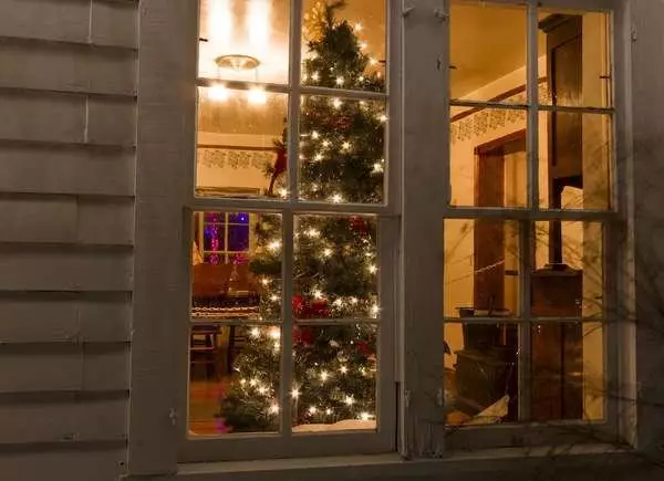 Noel Ağacınızı Pencereye Koymayın